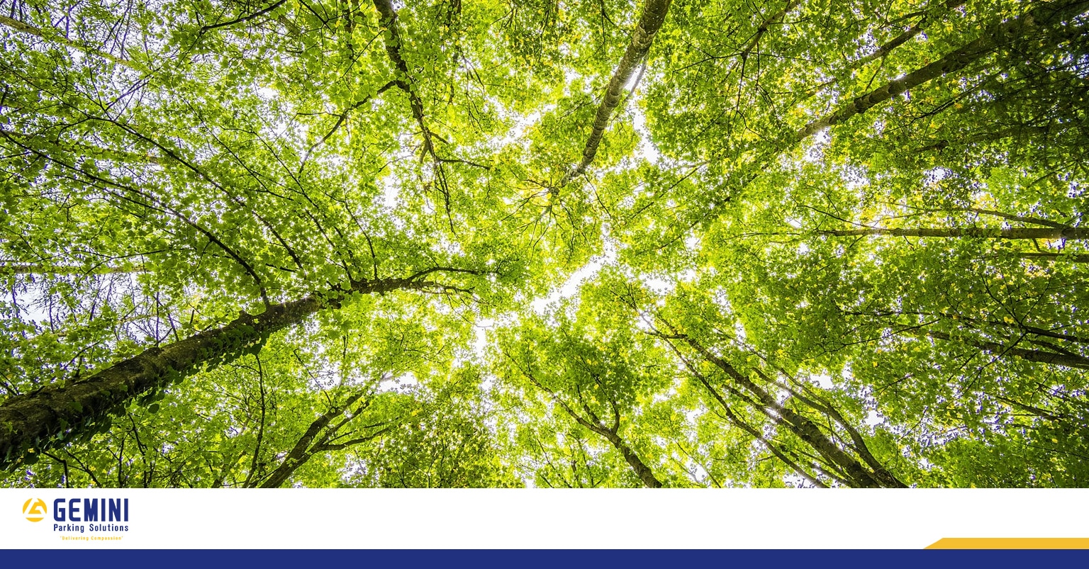 Contract for Trees Scheme